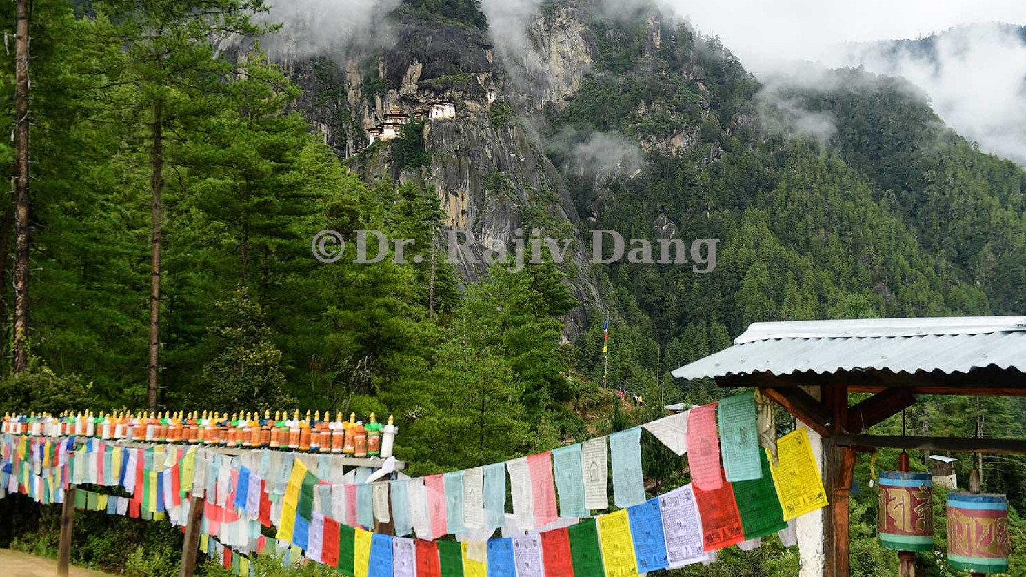 Dr. Rajiv Dang - Landscapes Gallery