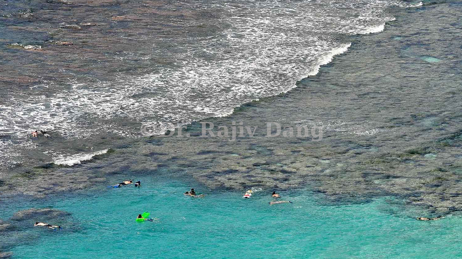 Dr. Rajiv Dang - Landscapes Gallery